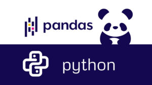 What is Pandas? A Guide to Data Analysis with Python - Codinic